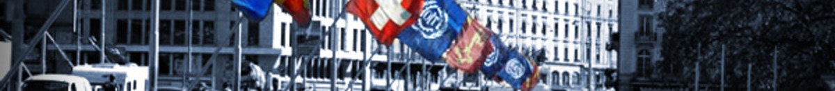 International Organizations Management | Coursera