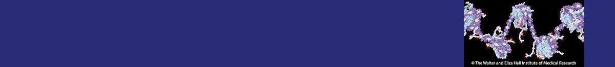 Epigenetic Control of Gene Expression | Coursera