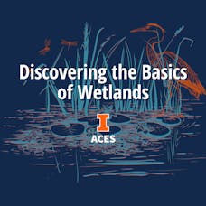 Wetland Science and Conservation | Coursera