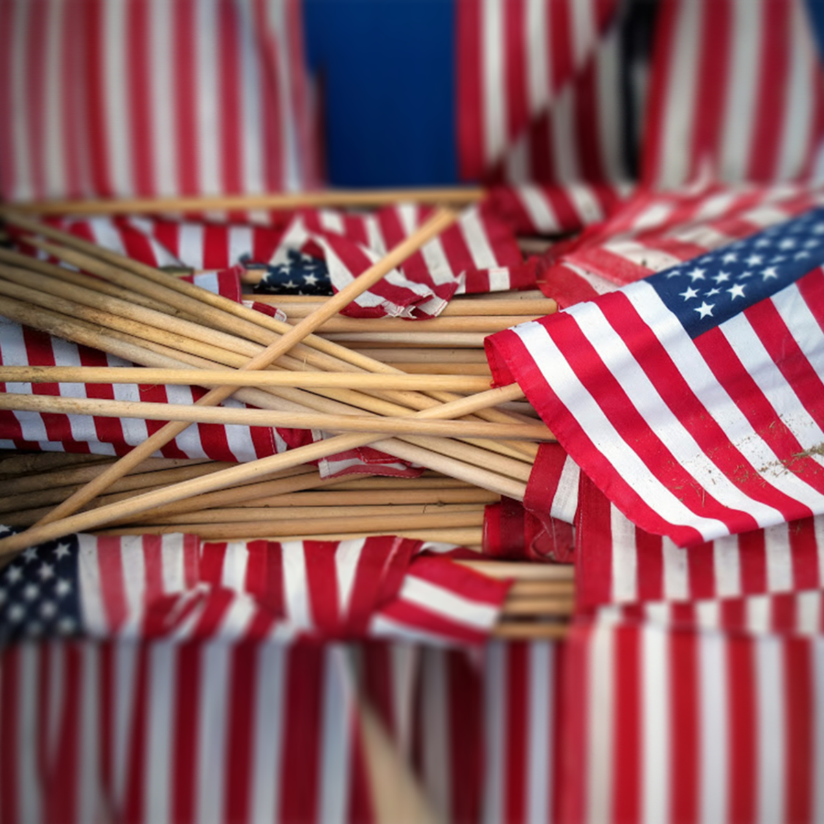 Veteran Centered Care