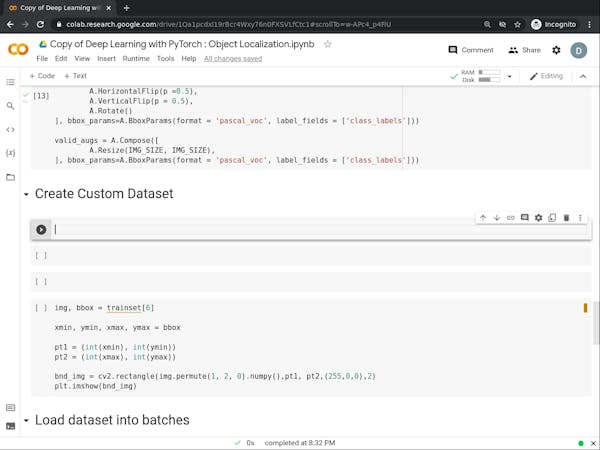 Deep Learning With Pytorch Object Localization