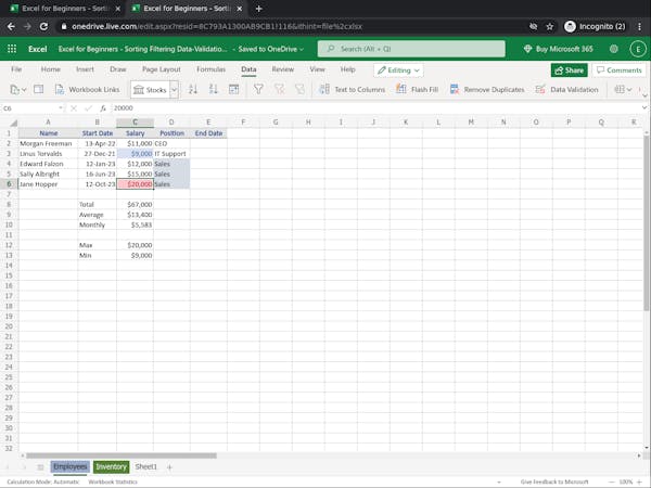 Excel For Beginners Sorting Filtering Data Validation 7600