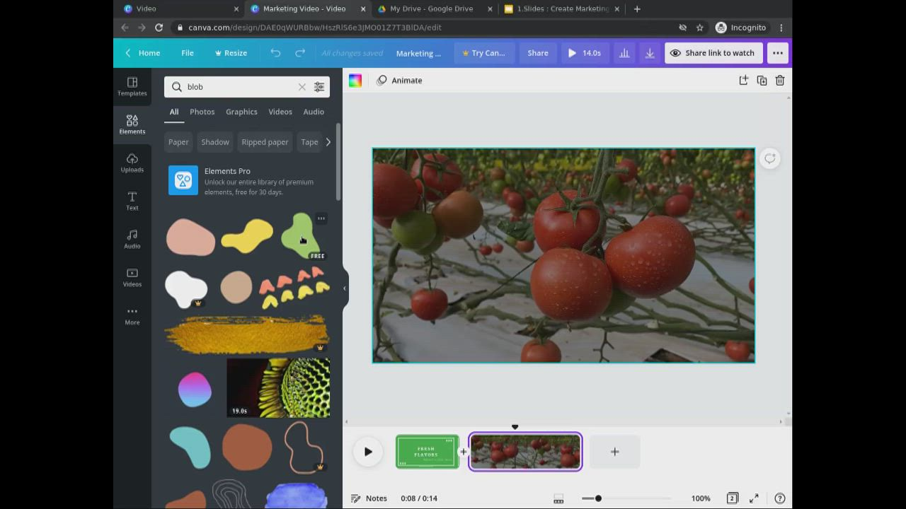 Create Impactful Marketing Videos using Canva