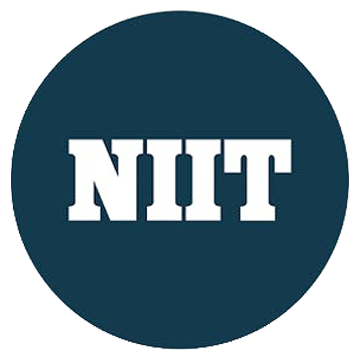 NIIT Online Courses | Coursera