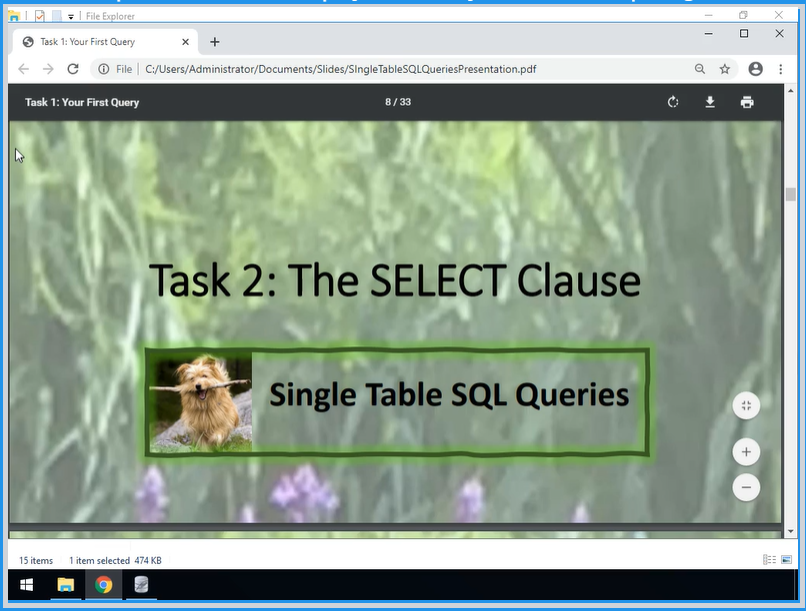 Retrieve Data using Single-Table SQL Queries