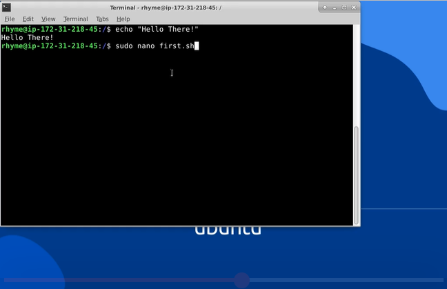 The Bash Shell and Basic Scripting in Linux