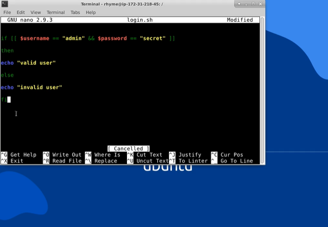 The Bash Shell and Basic Scripting in Linux