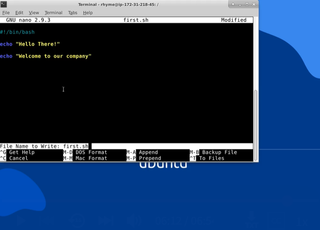 The Bash Shell and Basic Scripting in Linux