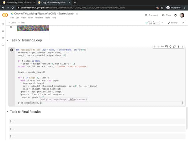 Visualizing Filters Of A Cnn Using Tensorflow