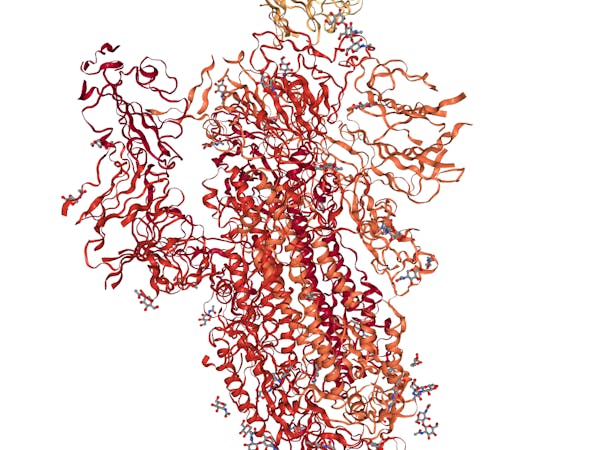 Learn How To Access Bioinformatics Databases With Biopython In Under 2 Hours Coursera