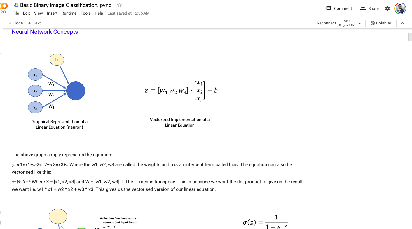 TensorFlow for Beginners: Basic Binary Image Classification