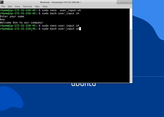 The Bash Shell and Basic Scripting in Linux