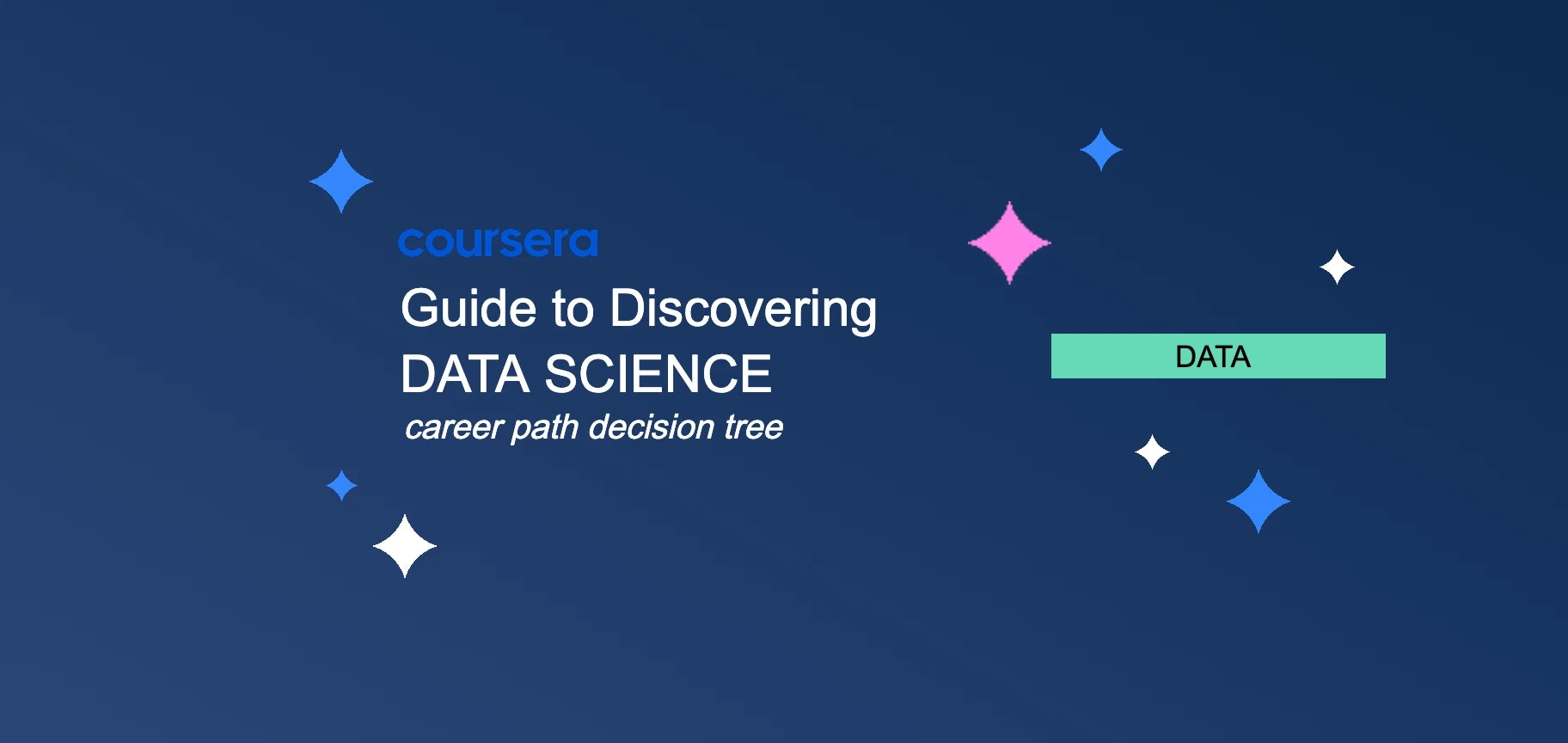 Guide to Discovering Data Science Careers (Career Path Decision Tree) | Coursera