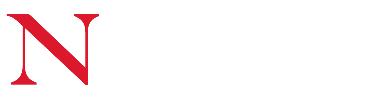 Online MS in Data Analytics Engineering | Northeastern University