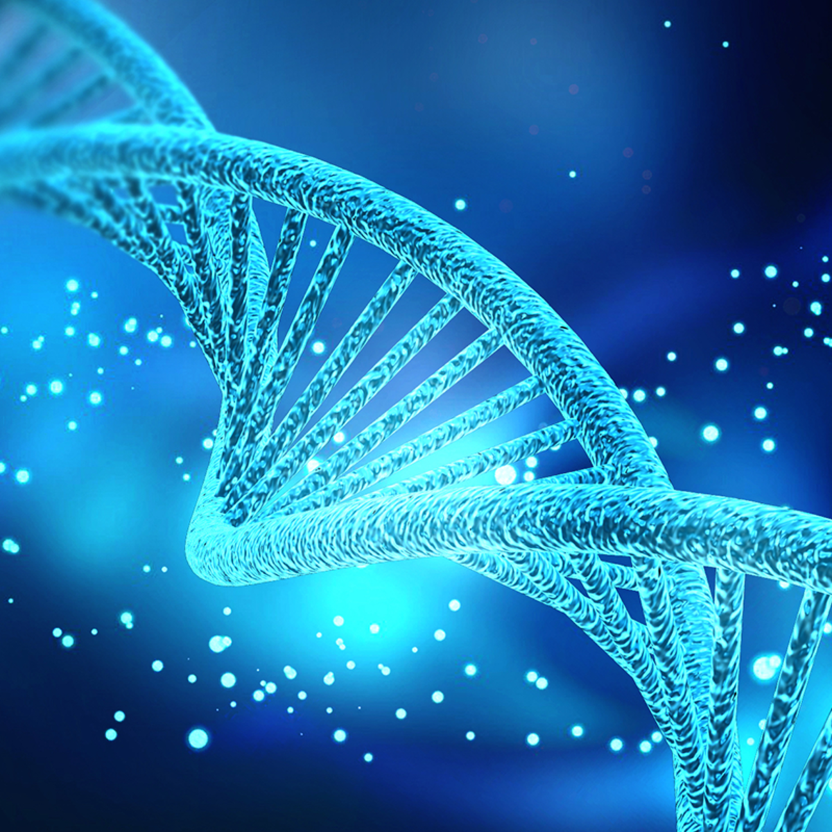 Best HEC Courses Online with Certificates [2024] | Coursera