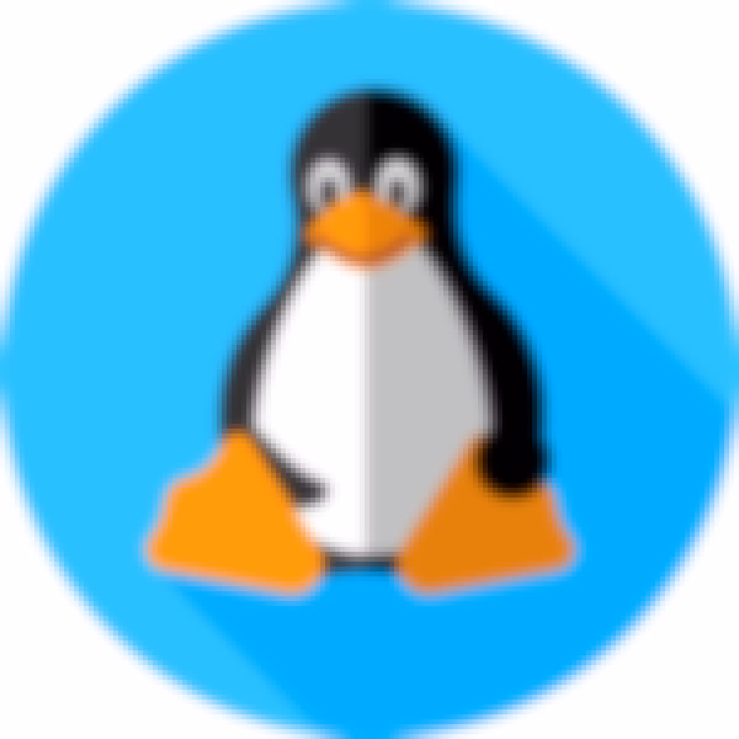 Best Shell Scripting Courses And Certificates 2025 Coursera Learn Online 5066