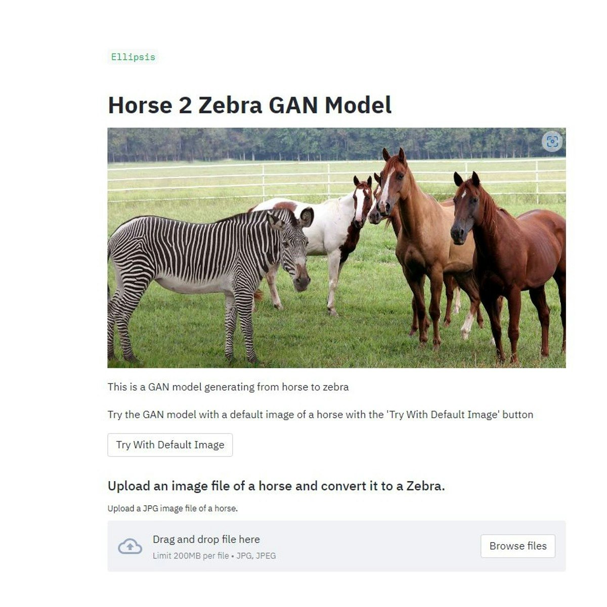 Best Horse Courses & Certifications [2023] | Coursera Online Learning