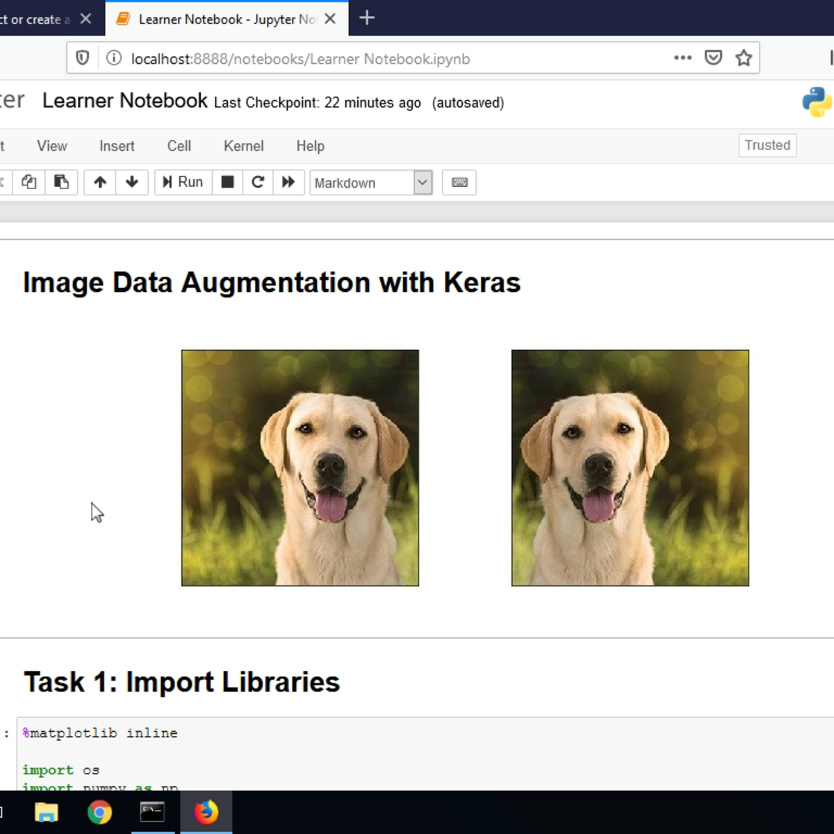 C Programming Courses | Coursera