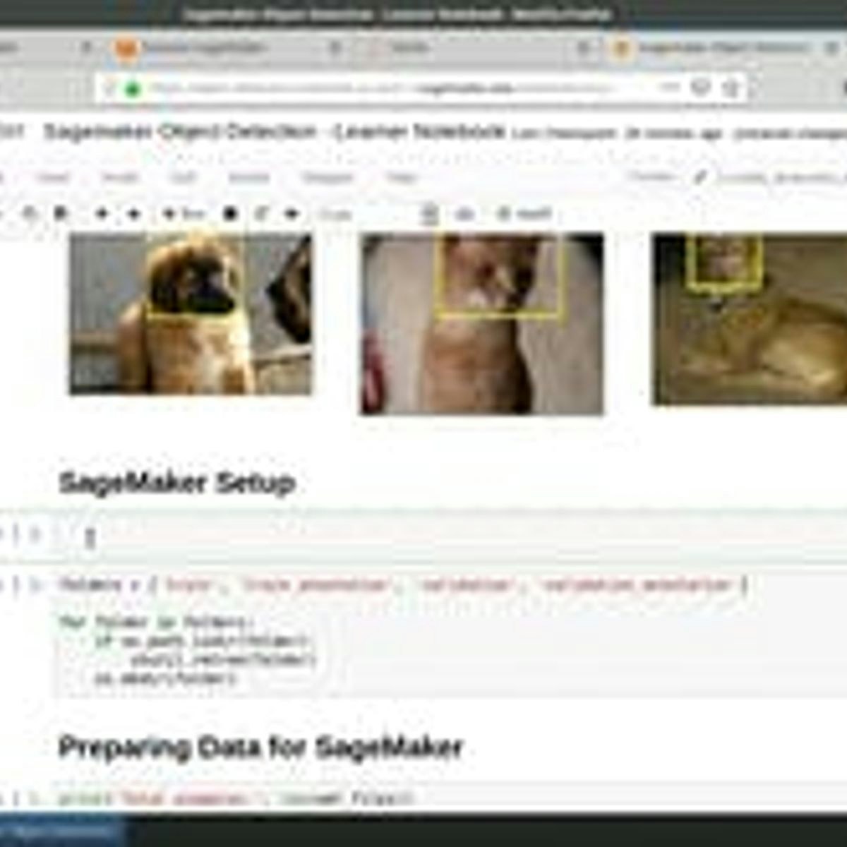 Computer Vision Projects to Build Your Skills [2024] | Coursera
