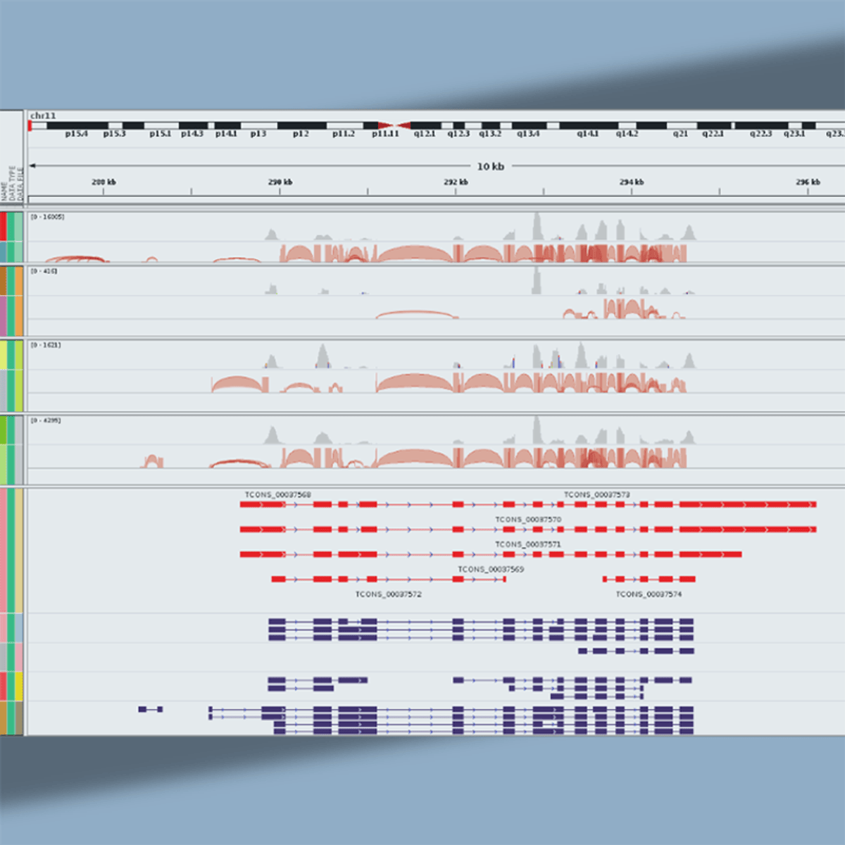 Best Bioinformatics Courses &amp; Certificates [2025] | Coursera Learn Online